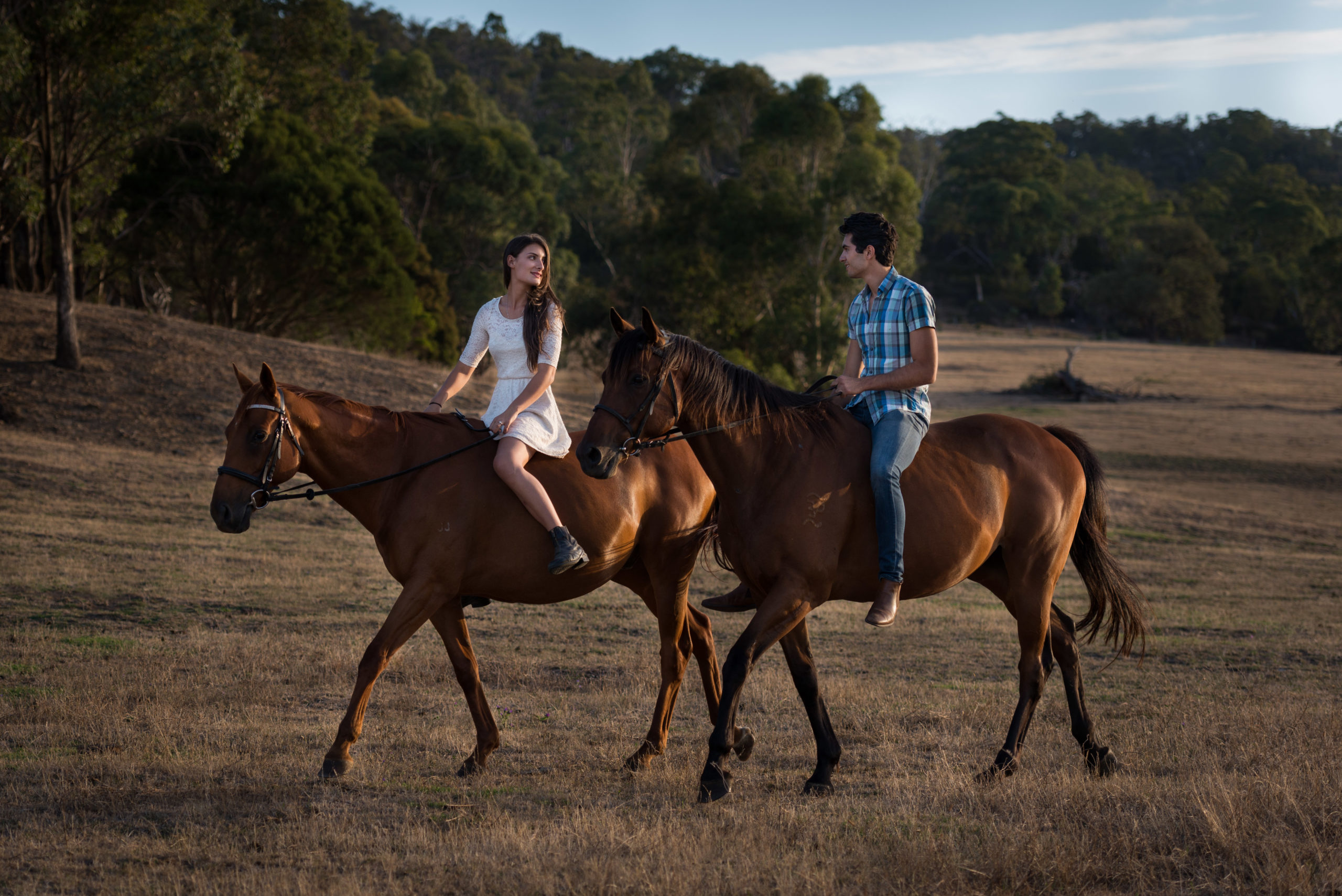 About - Horsey People