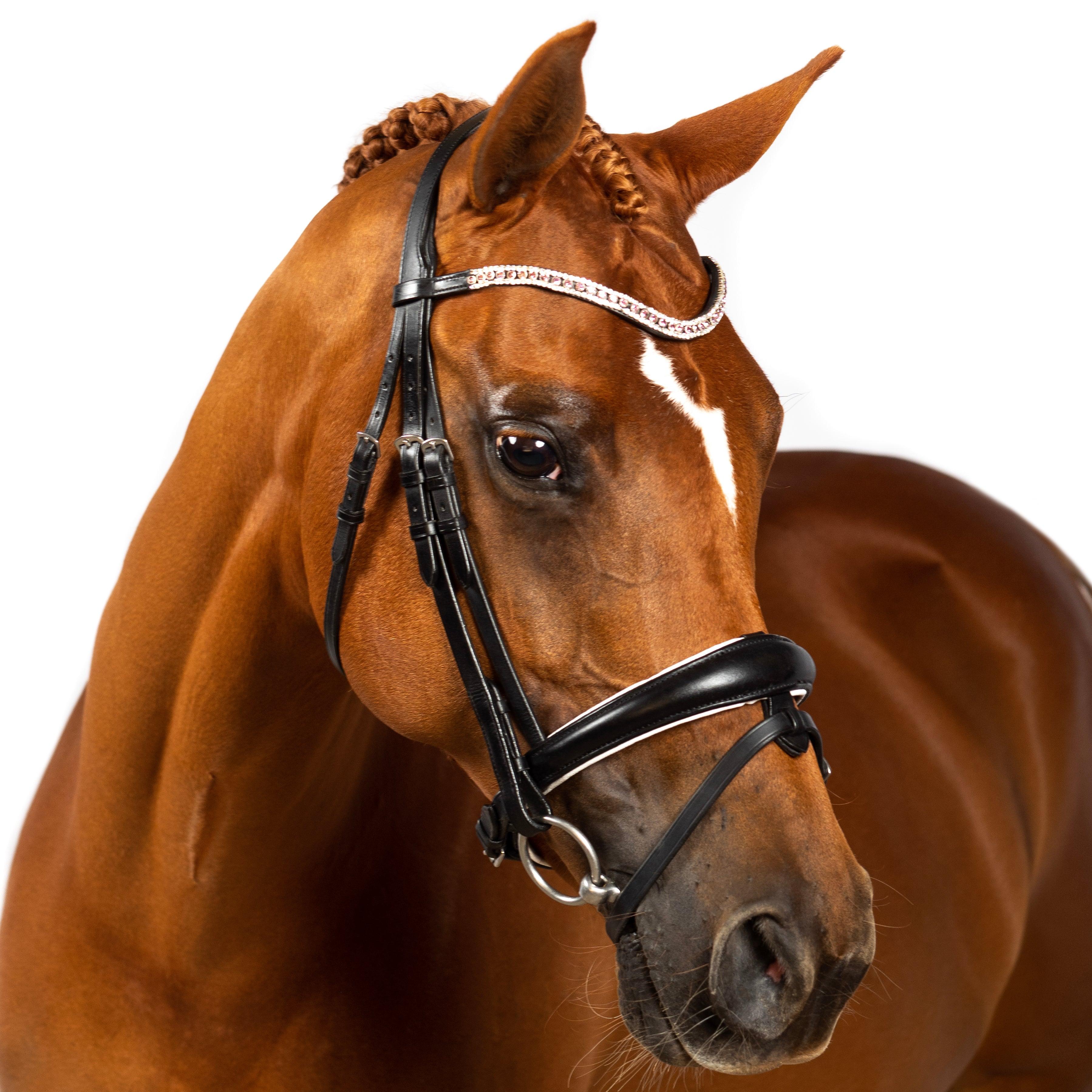 Premium Black Snaffle Bridle 'Devotion' - Horsey People